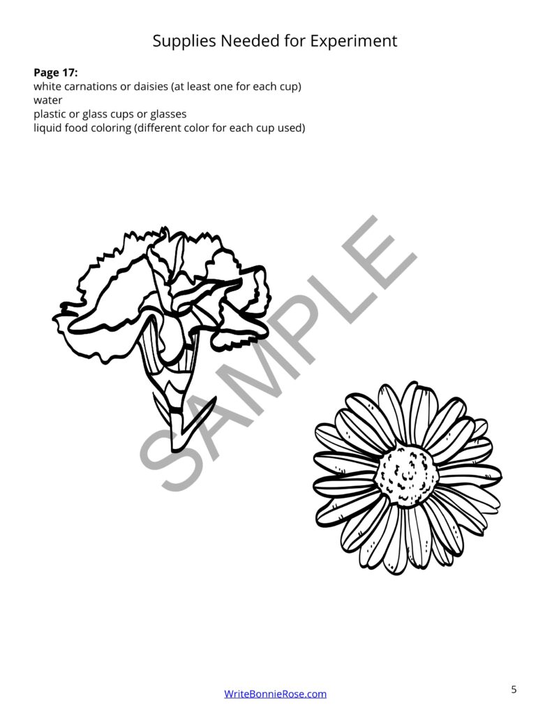 Learning About Science for Young Learners: Plants | Made By Teachers