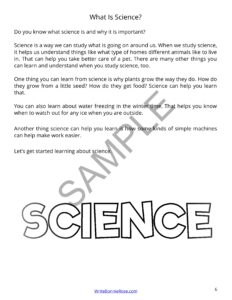 Learning About Science for Young Learners: Plants | Made By Teachers