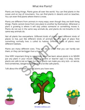 Learning About Science for Young Learners: Plants | Made By Teachers