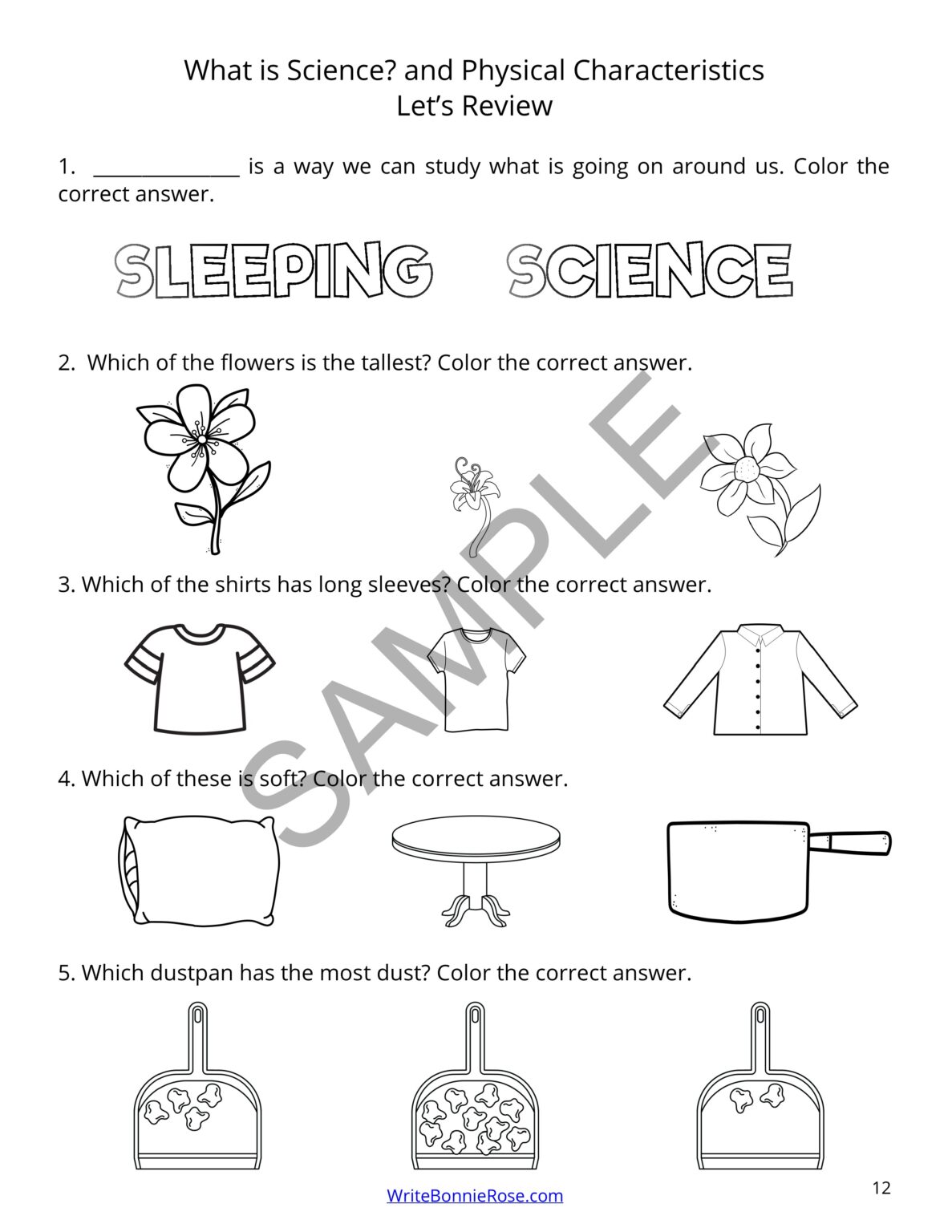 Learning About Science for Young Learners: Physical Science | Made By ...