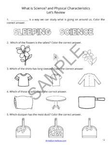 Learning About Science for Young Learners: Physical Science | Made By ...