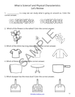 Learning About Science for Young Learners: Physical Science | Made By ...