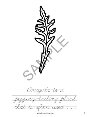 Cooking Herbs & Spices Coloring Book-Level C | Made By Teachers