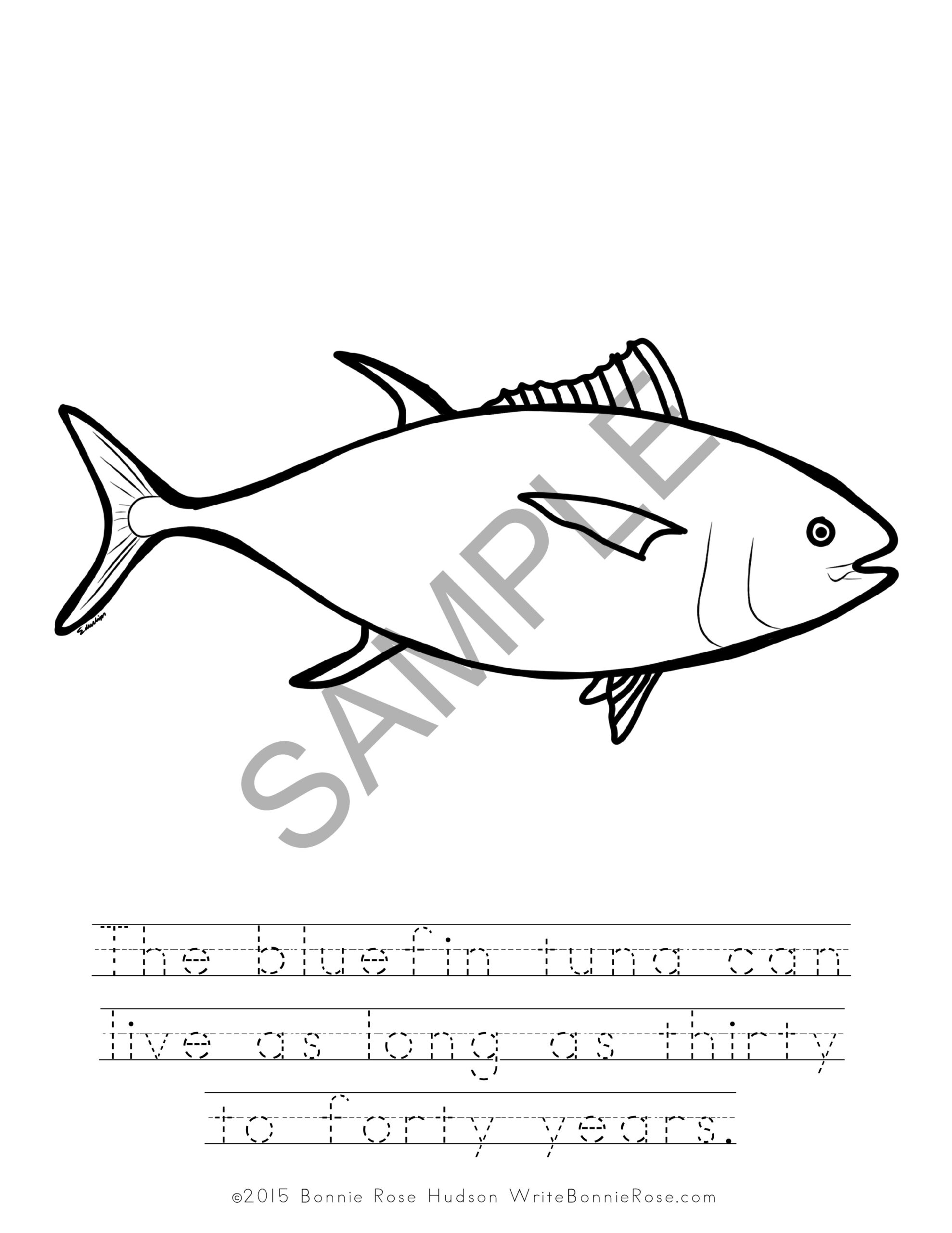 Endangered Animals Coloring Book-Level B | Made By Teachers