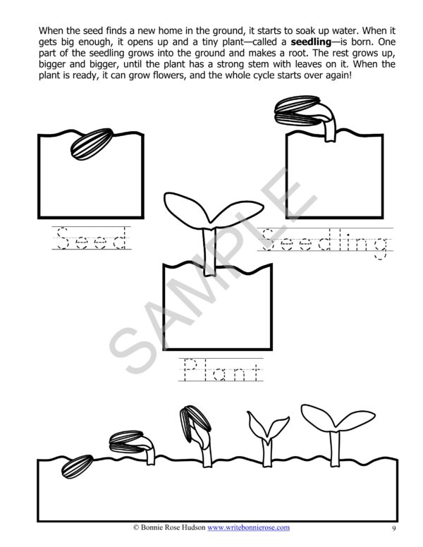 Familiar Plants & How They Grow-Learning About Science, Level 1 | Made ...