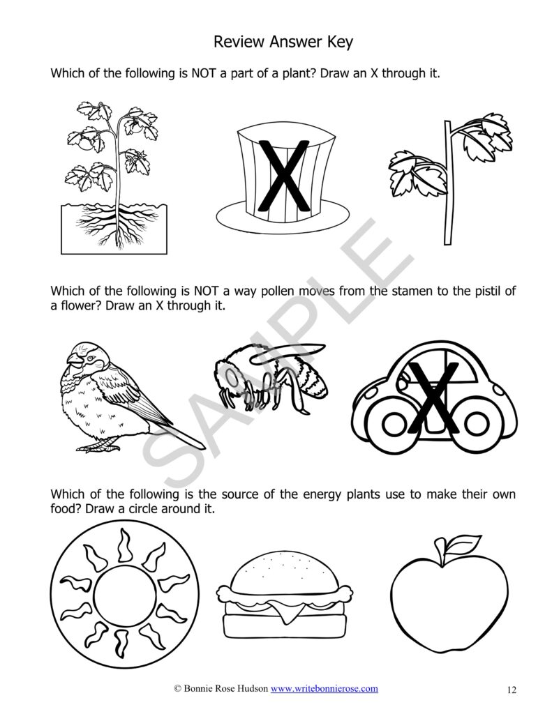 Familiar Plants & How They Grow-Learning About Science, Level 1 | Made ...