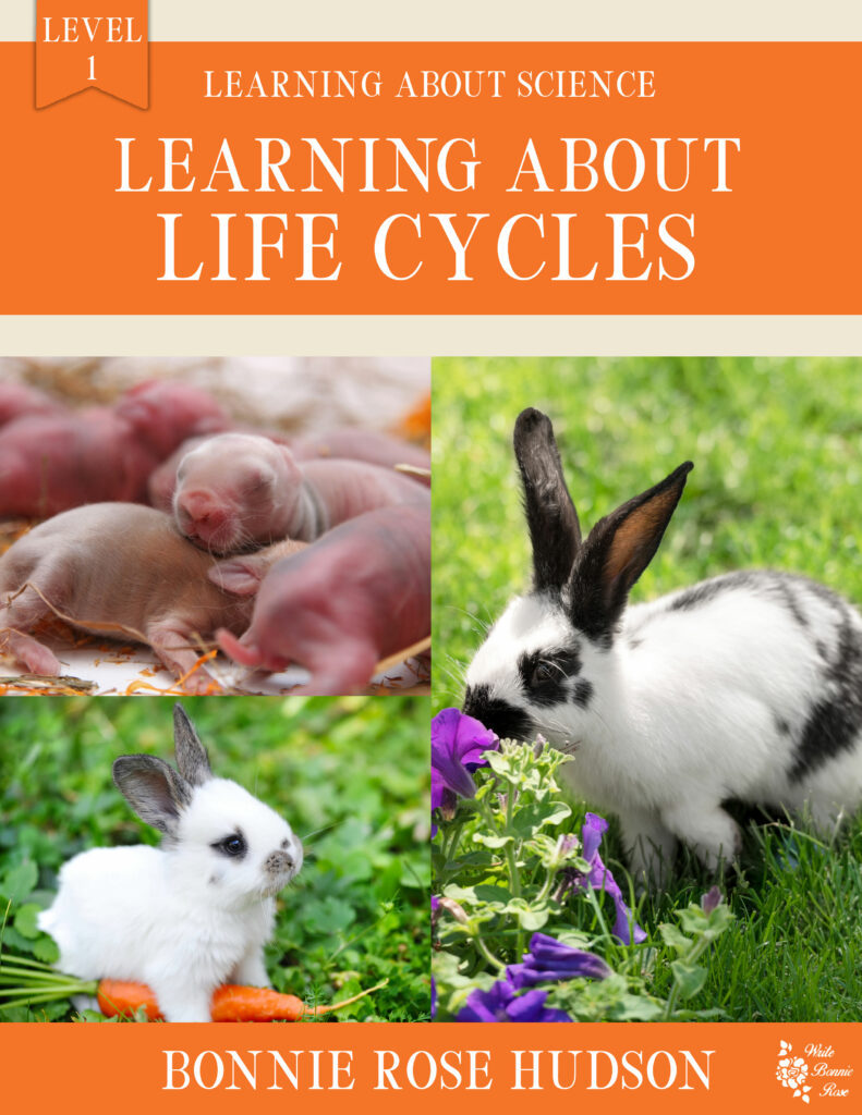 Learning About Life Cycles-Learning About Science, Level 1 | Made By ...