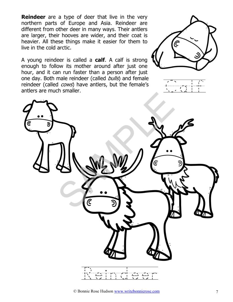 Learning About Life Cycles-Learning About Science, Level 1 | Made By ...