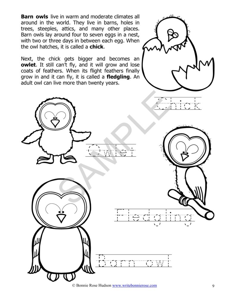 Learning About Life Cycles-Learning About Science, Level 1 | Made By ...