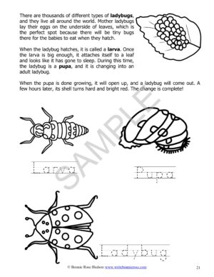 Learning About Life Cycles-Learning About Science, Level 1 | Made By ...
