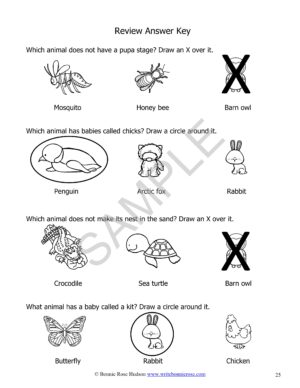 Learning About Life Cycles-Learning About Science, Level 1 | Made By ...