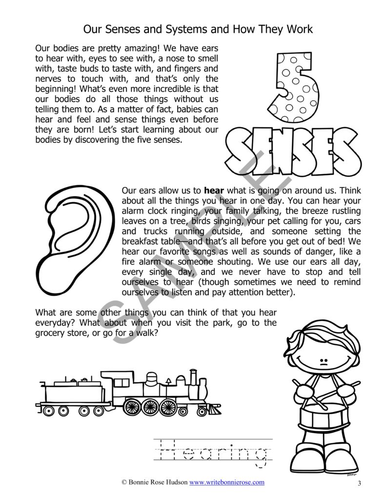 Our Senses & Systems & How They Work-Learning About Science, Level 1 ...