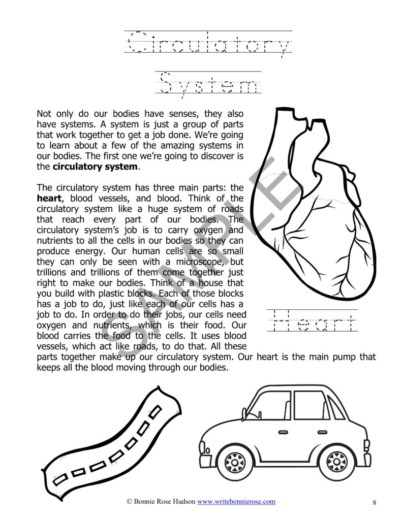 Our Senses & Systems & How They Work-Learning About Science, Level 1 ...