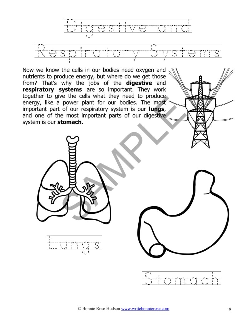 Our Senses & Systems & How They Work-Learning About Science, Level 1 ...