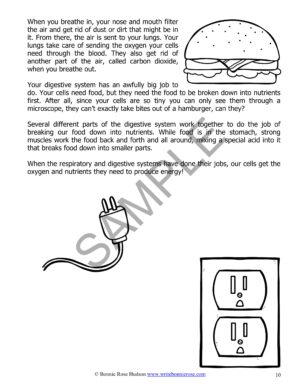 Our Senses & Systems & How They Work-Learning About Science, Level 1 ...