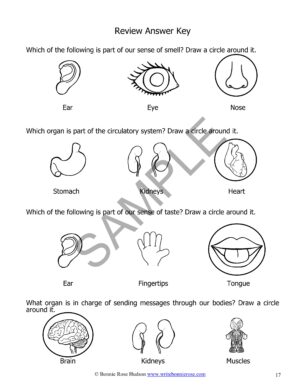 Our Senses & Systems & How They Work-Learning About Science, Level 1 ...