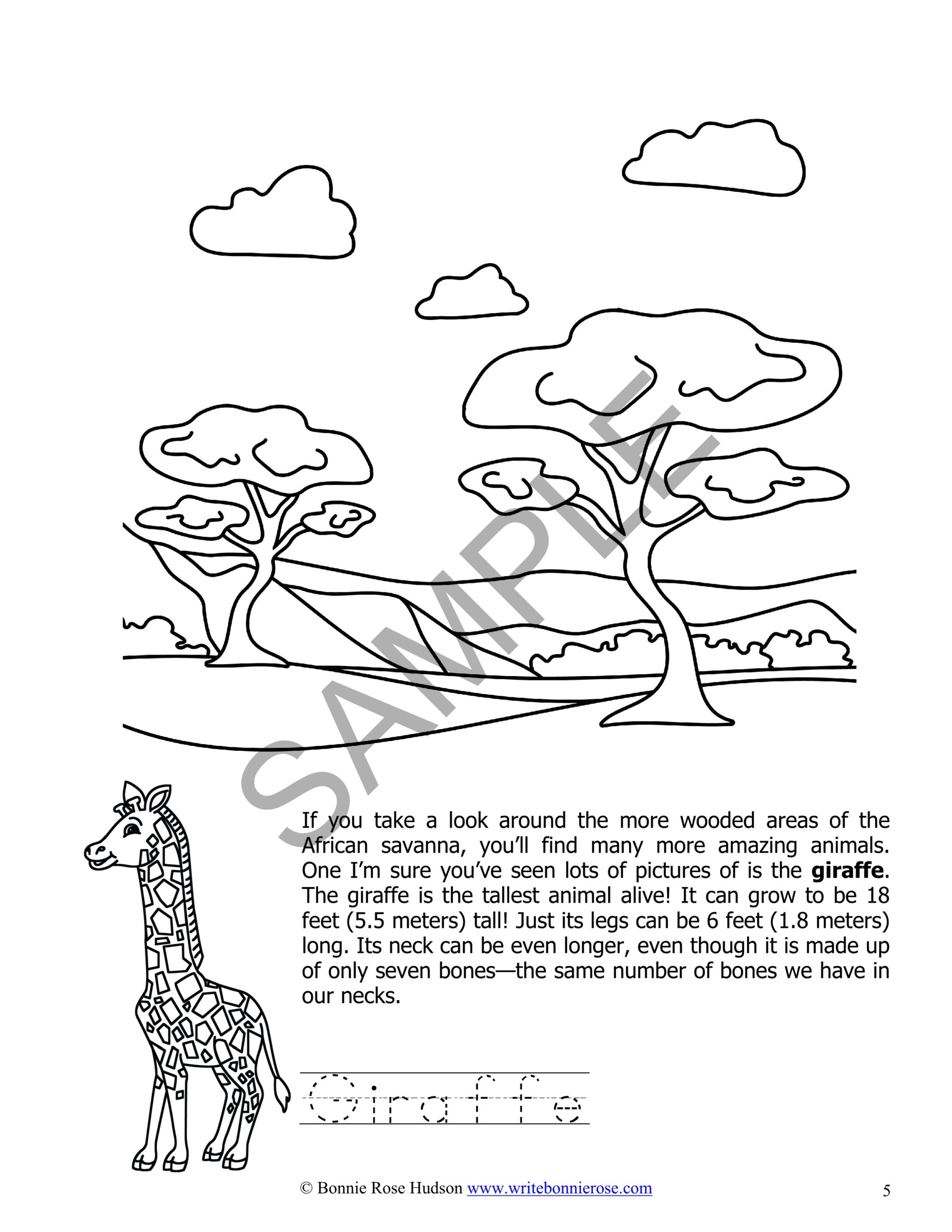 Learning About Science Collection, Level 1 | Made By Teachers