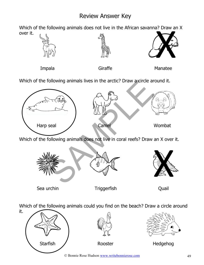 Learning About Science Collection, Level 1 | Made By Teachers