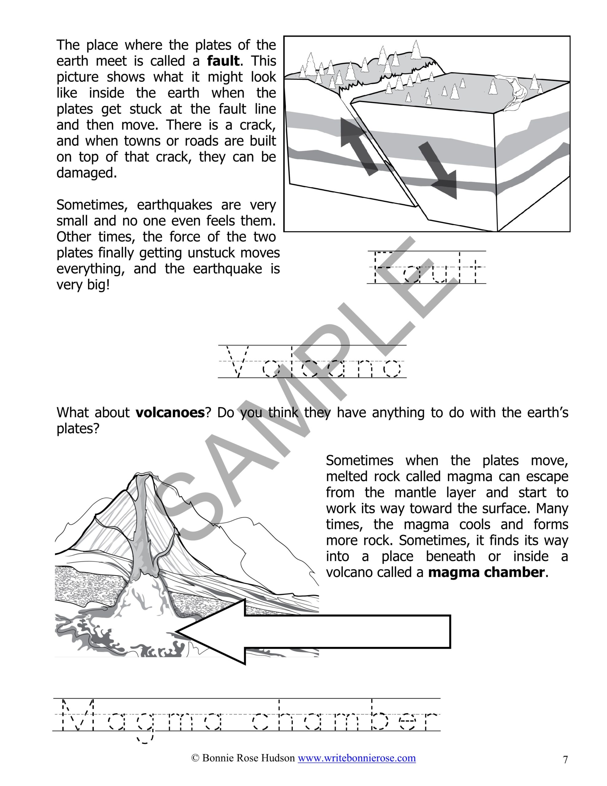 Learning About Science Collection, Level 1 | Made By Teachers
