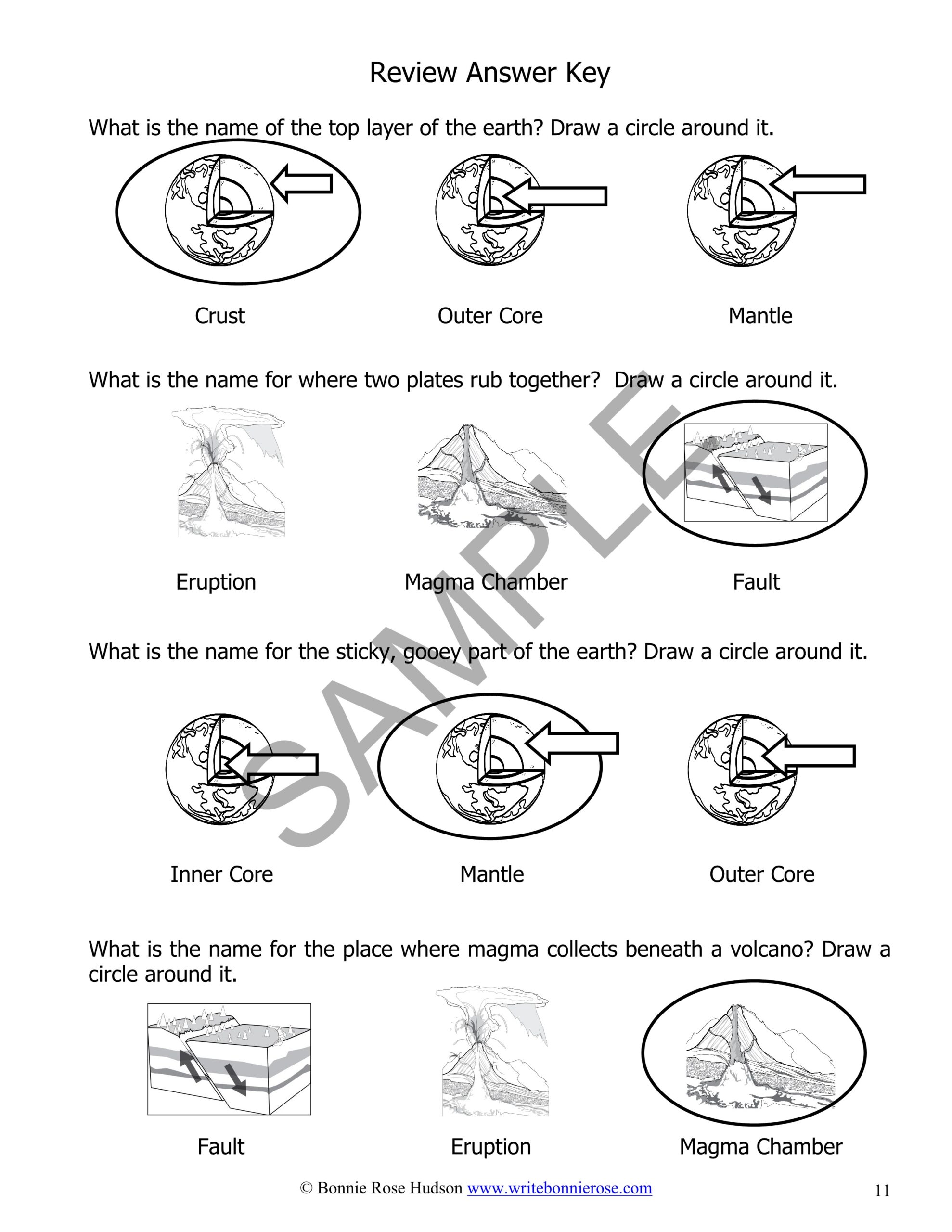 Learning About Science Collection, Level 1 | Made By Teachers