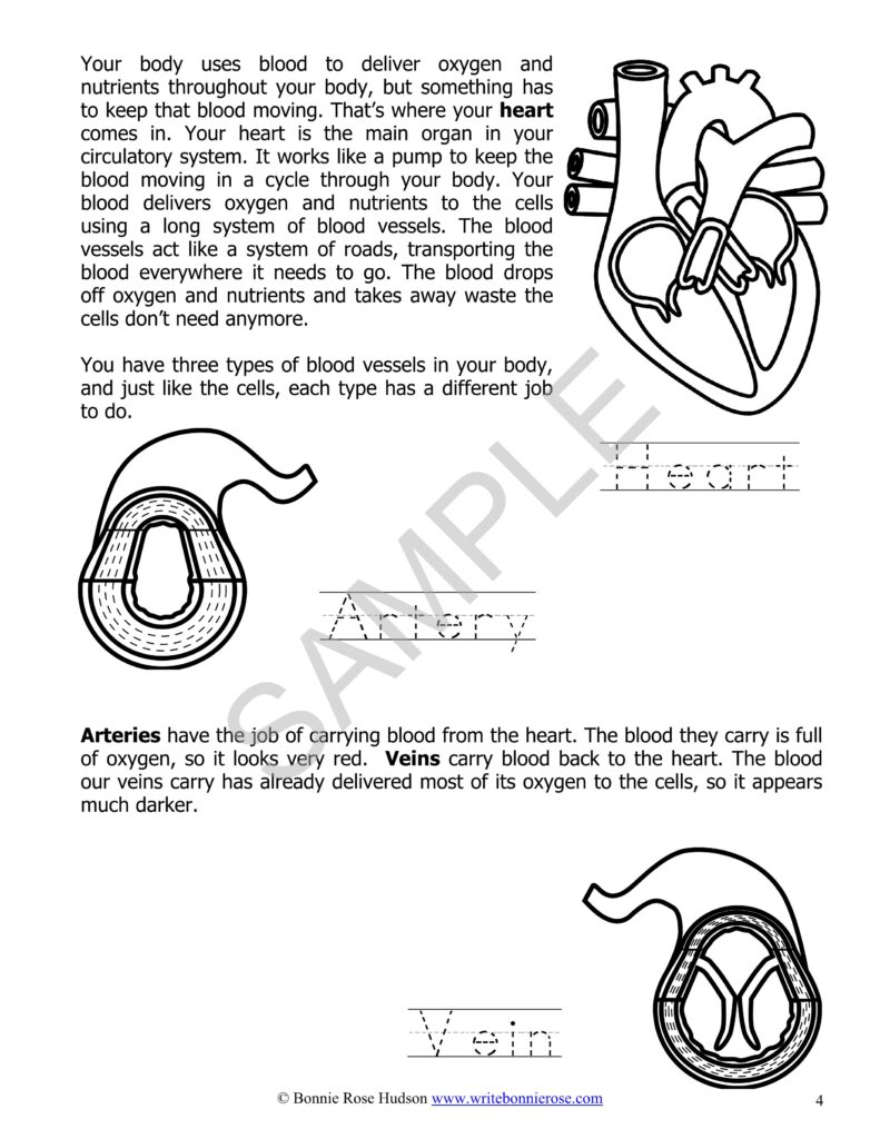 A Closer Look at Body Systems-Learning About Science, Level 2 | Made By ...