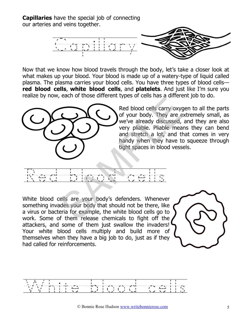 A Closer Look at Body Systems-Learning About Science, Level 2 | Made By ...