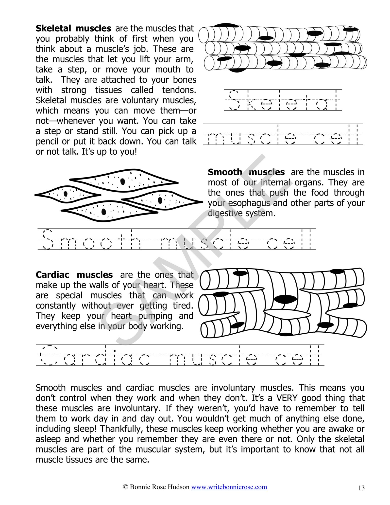 A Closer Look at Body Systems-Learning About Science, Level 2 | Made By ...