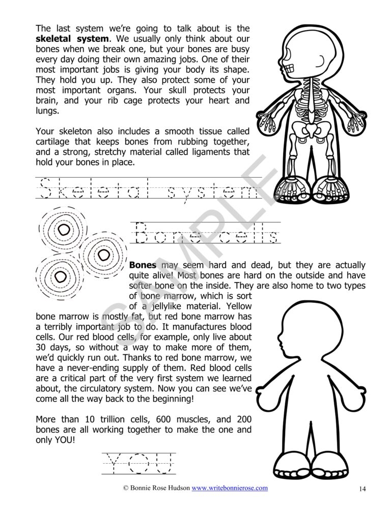 A Closer Look at Body Systems-Learning About Science, Level 2 | Made By ...