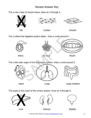 A Closer Look at Body Systems-Learning About Science, Level 2 | Made By ...