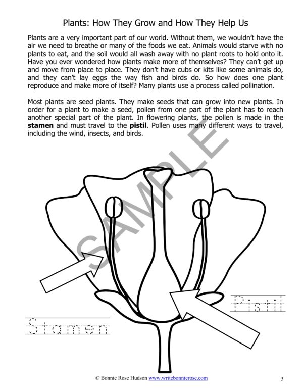 Plants: How They Grow & How They Help Us-Learning About Science, Level ...