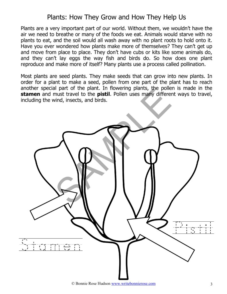 Plants: How They Grow & How They Help Us-Learning About Science, Level ...