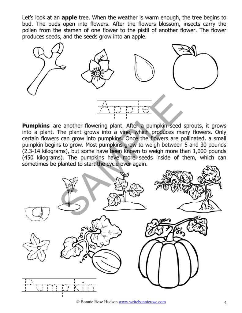 Plants: How They Grow & How They Help Us-Learning About Science, Level ...