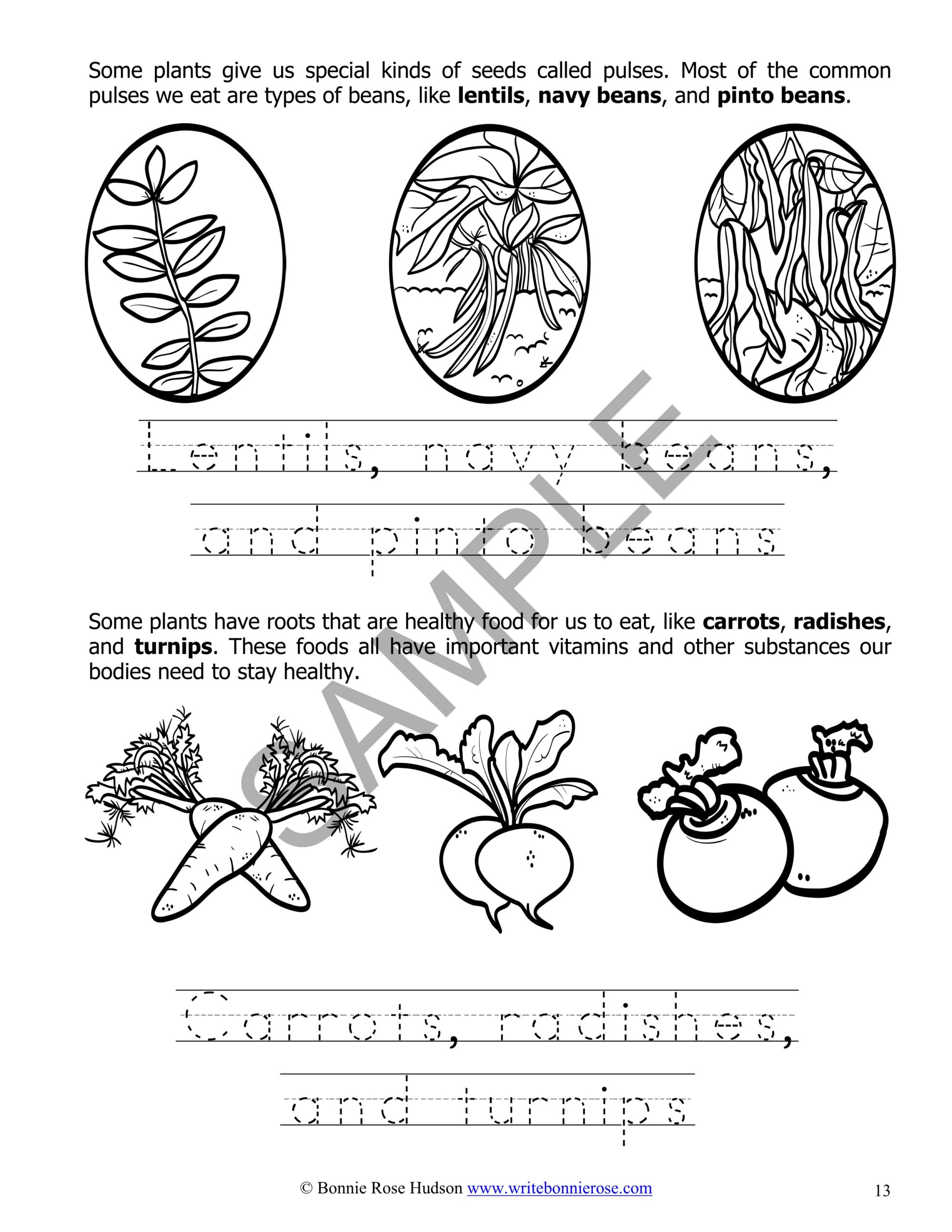Plants: How They Grow & How They Help Us-Learning About Science, Level ...