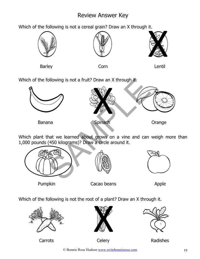Plants: How They Grow & How They Help Us-Learning About Science, Level ...