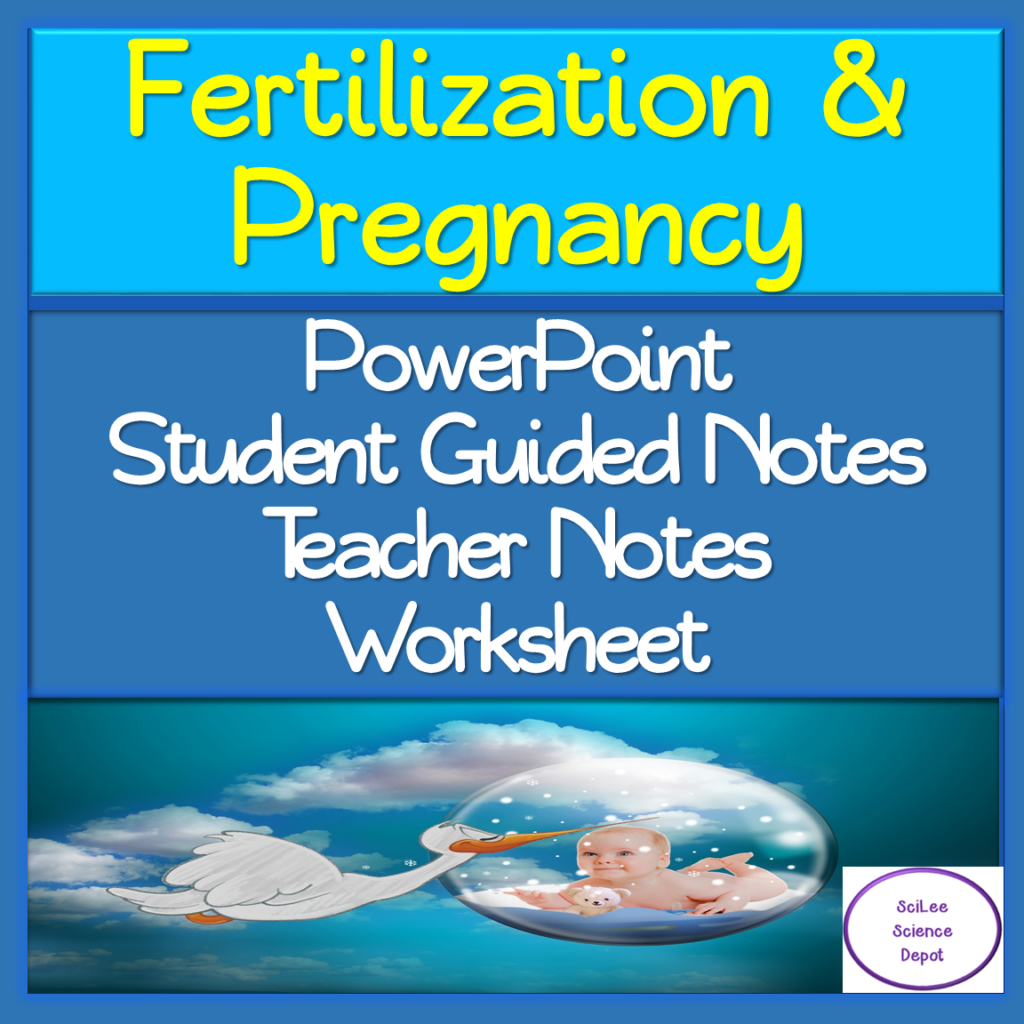 Life Cycles: Fertilization and Pregnancy PowerPoint & Worksheets | Made ...