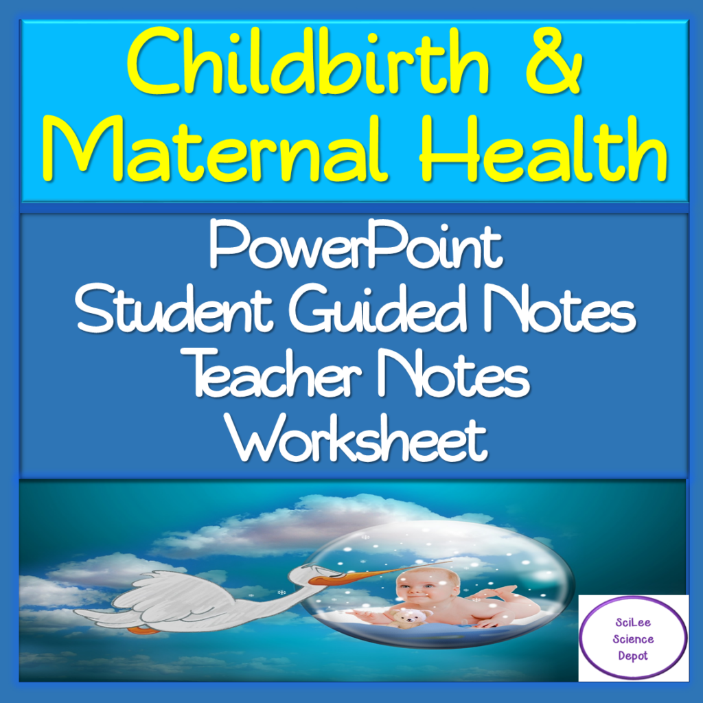Life Cycles: Childbirth and Maternal Health PowerPoint & Worksheet ...