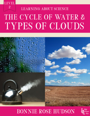 The Cycle of Water & Types of Clouds-Learning About Science, Level 2 ...