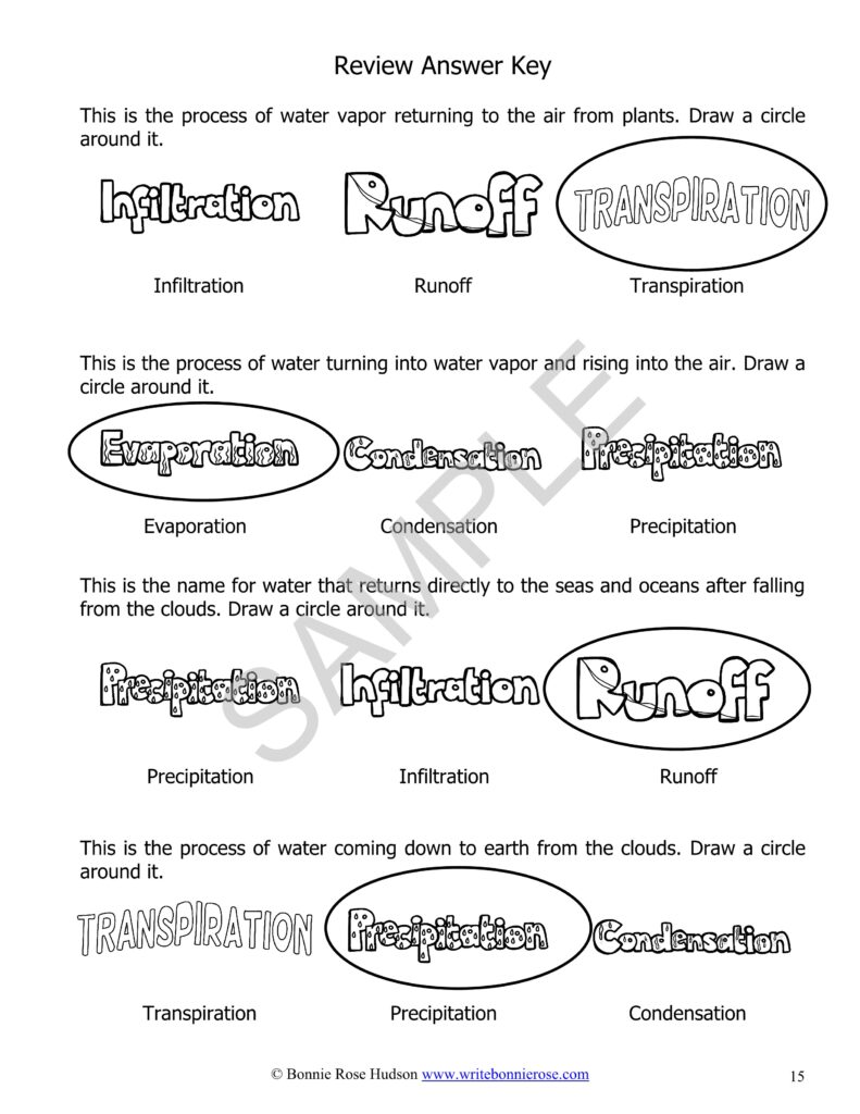 The Cycle of Water & Types of Clouds-Learning About Science, Level 2 ...