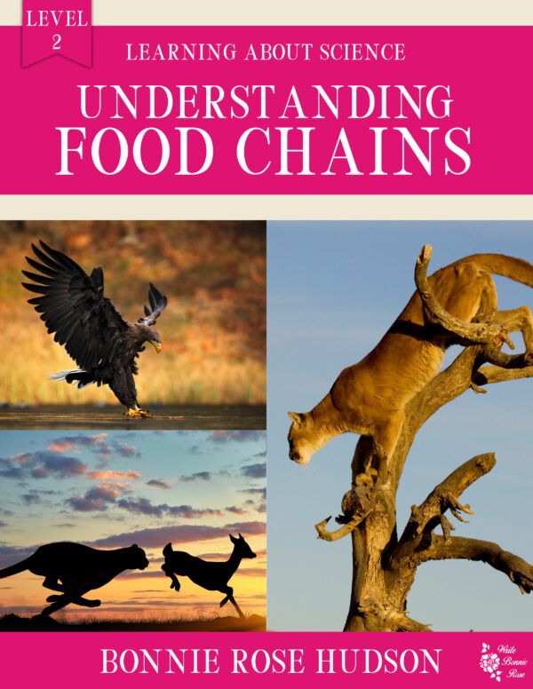 Understanding Food Chains-Learning About Science, Level 2 | Made By ...