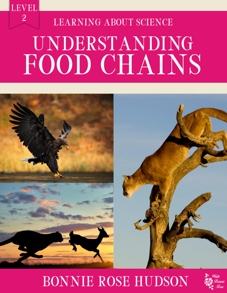 Understanding Food Chains-Learning About Science, Level 2 | Made By ...