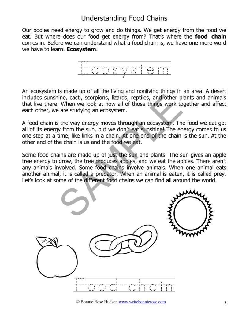 Understanding Food Chains-Learning About Science, Level 2 | Made By ...
