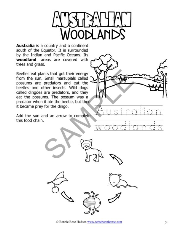Understanding Food Chains-Learning About Science, Level 2 | Made By ...