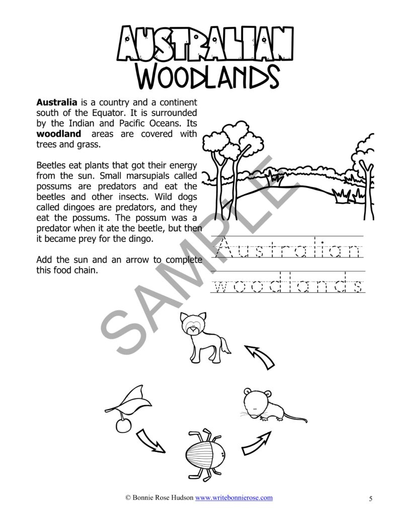 Understanding Food Chains-Learning About Science, Level 2 | Made By ...