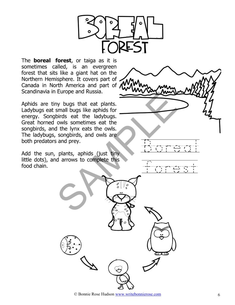 Understanding Food Chains-Learning About Science, Level 2 | Made By ...