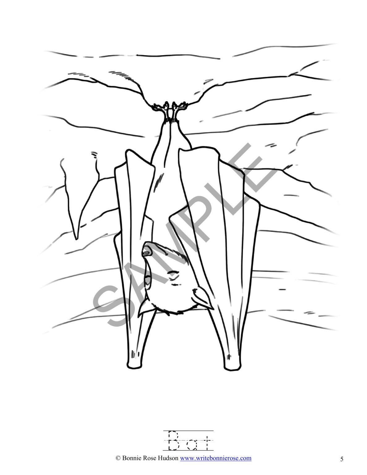 Why Do Animals Hibernate?-Learning About Science, Level 2 | Made By ...