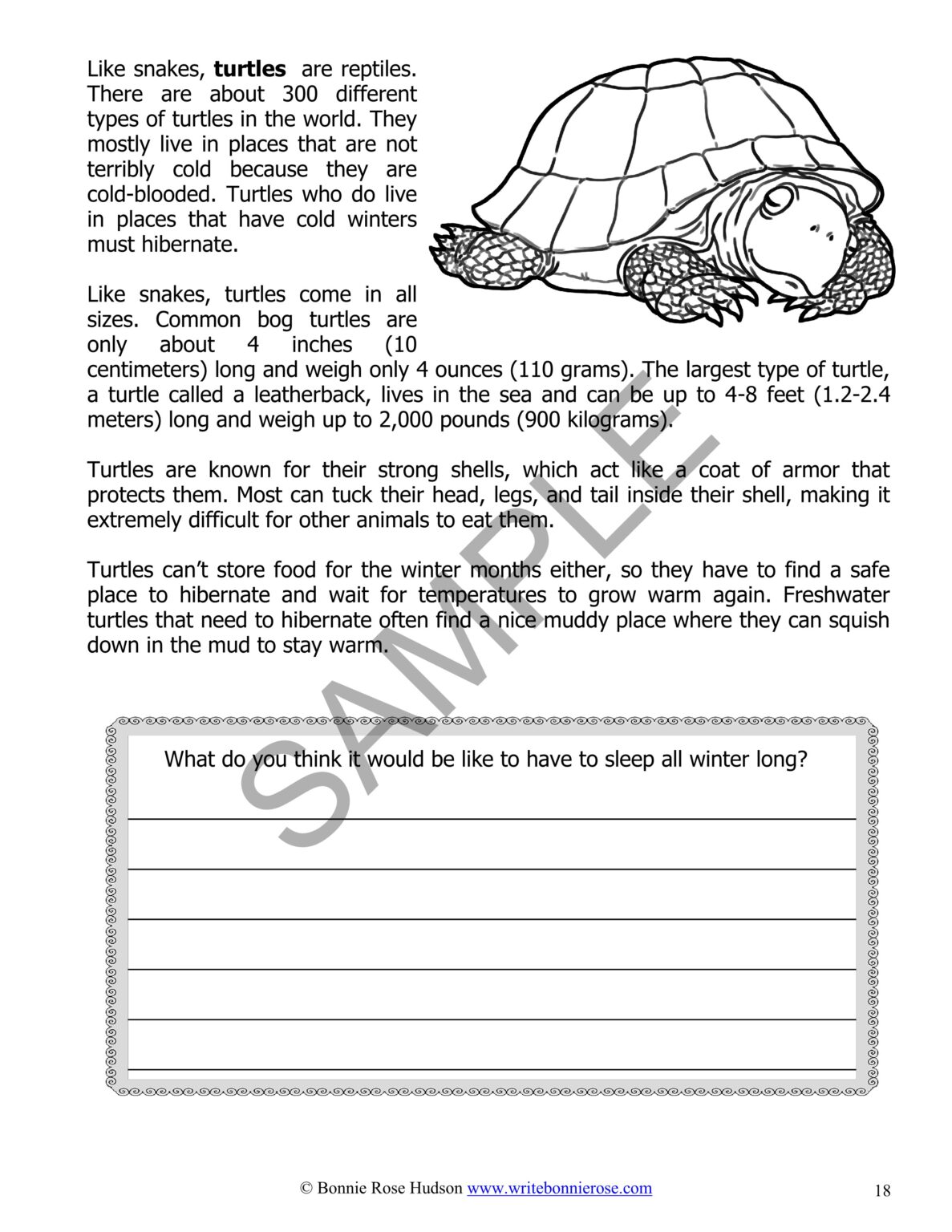 Why Do Animals Hibernate?-Learning About Science, Level 2 | Made By ...