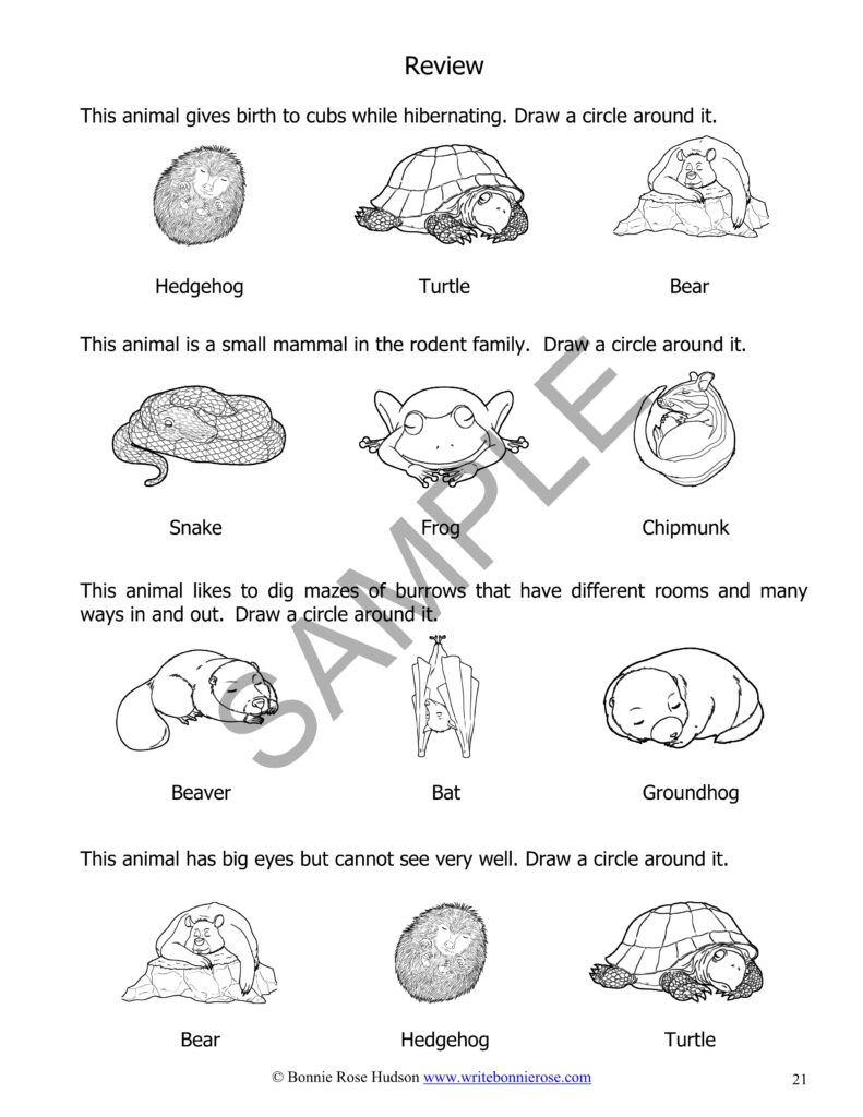 Why Do Animals Hibernate?-Learning About Science, Level 2 | Made By Teachers