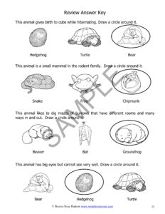 Why Do Animals Hibernate?-Learning About Science, Level 2 | Made By ...