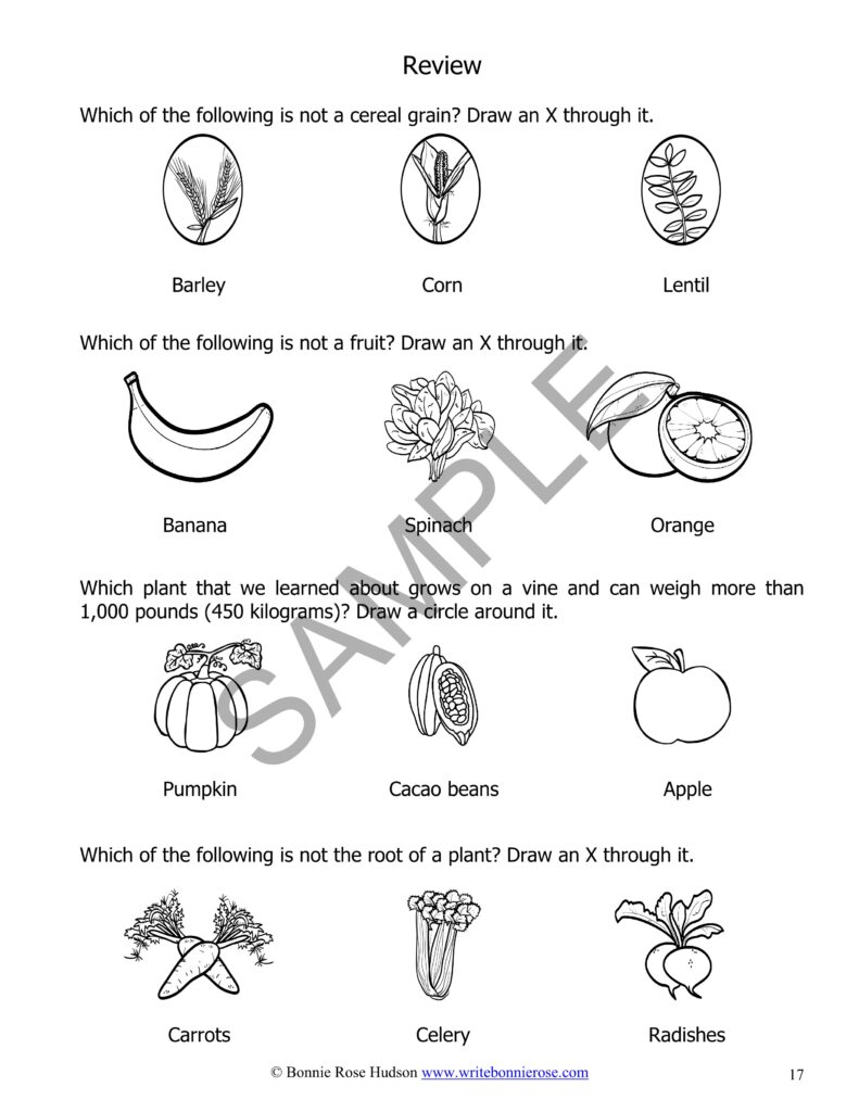Learning About Science Collection, Level 2 | Made By Teachers