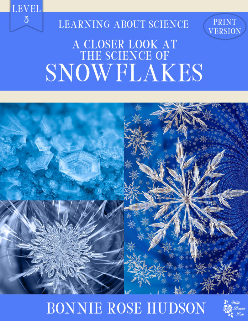 A Closer Look at the Science of Snowflakes-Learning About Science ...